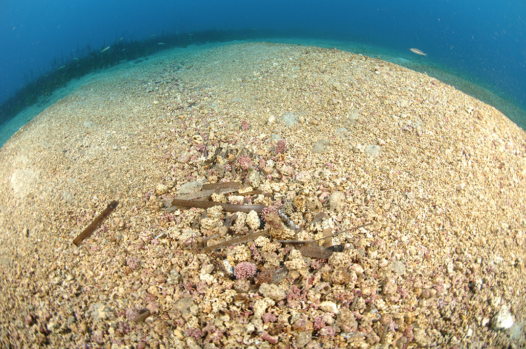 Cartographier les fonds marins du golfe du Lion | Eoliennes en mer